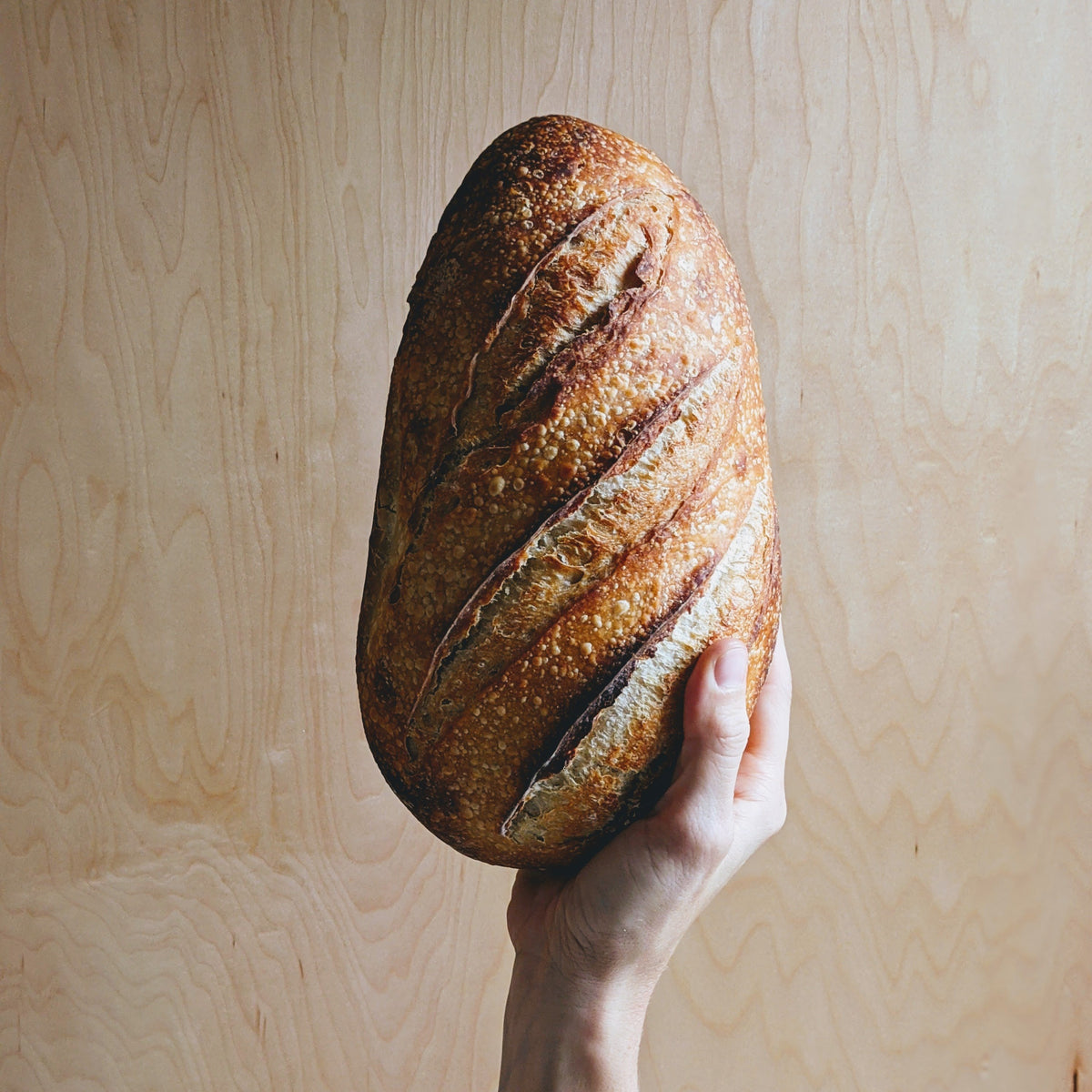 Plain Sourdough Loaf | Wildgrain